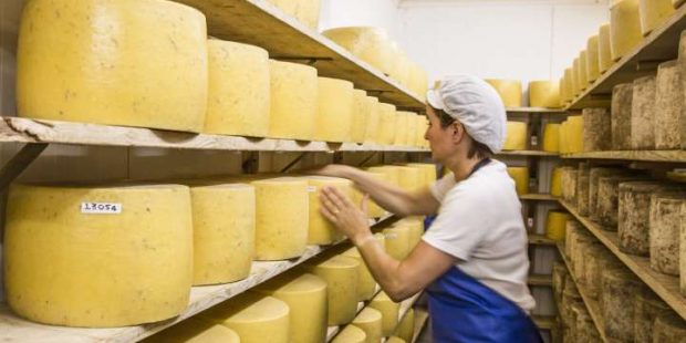 Slow Food in the UK - Celebrate what’s on your plate!