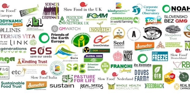 Slow Food in the UK - Celebrate what’s on your plate!